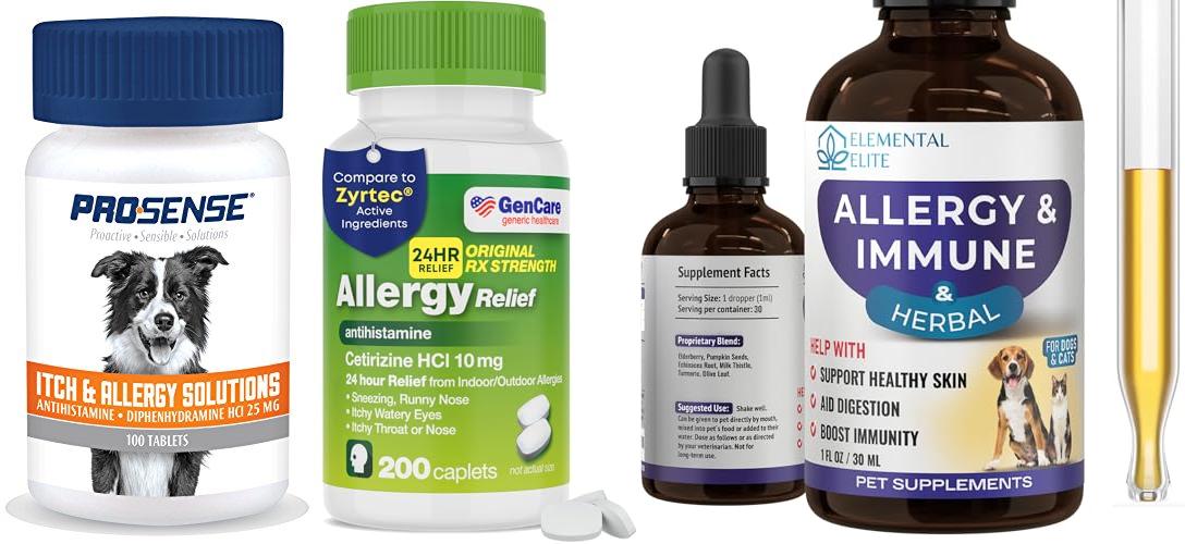 Top 5 OTC Dog Allergy Medicines: A Pet Parent's Buying Guide - AnimalsPick