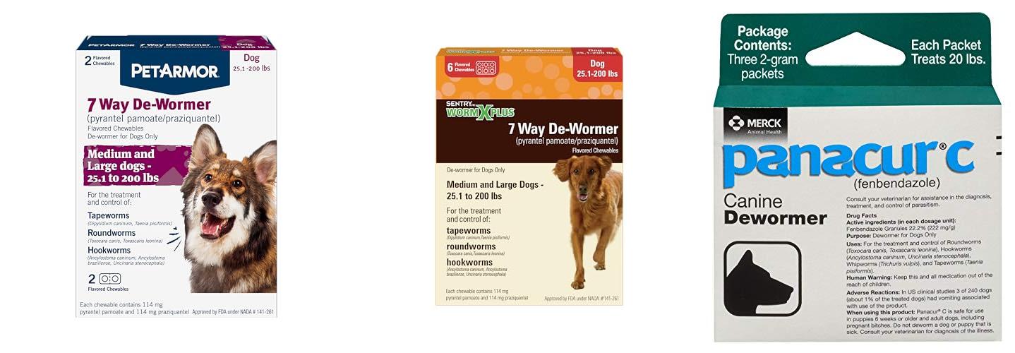 Top 5 OTC Dog Dewormers: Reviews & Buying Guide for Your Pup - AnimalsPick