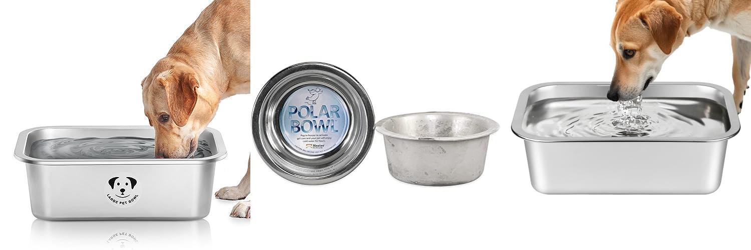 Top 5 Outdoor Dog Water Bowls For Summer: Stay Hydrated Guide - AnimalsPick