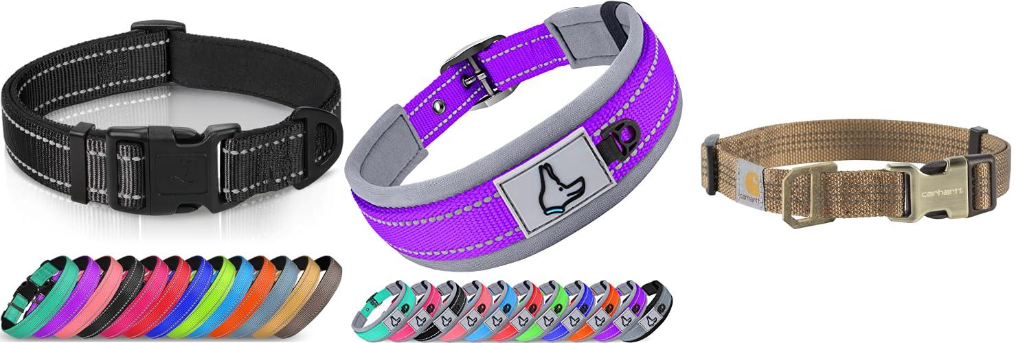 Top 5 Padded Dog Collars: Reviews, Comfort & Safety Guide - AnimalsPick