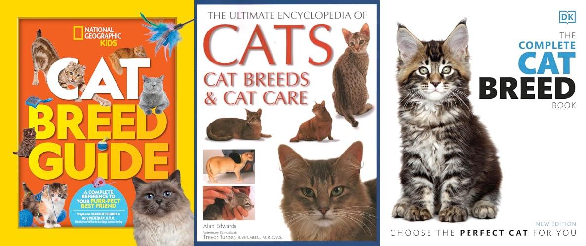 Top 5 Pet Cat Breeds: A Guide to the Best Feline Friends - AnimalsPick