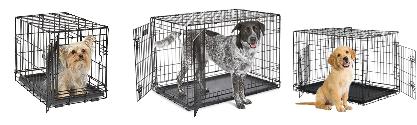 Top 5 Pet Dog Cages: Reviews, Features, and Buying Guide - AnimalsPick