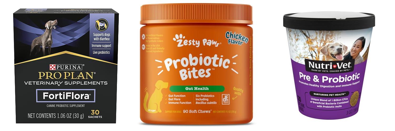 Top 5 Probiotics For Dogs: Reviews, Benefits, and Buying Guide ...