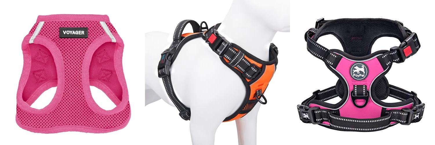 Top 5 Best Pug Dog Harnesses: Reviews and Buyer's Guide - AnimalsPick