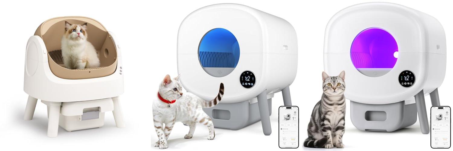 Top 5 Automatic Cat Litter Boxes: Reviews & Buyer’s Guide - AnimalsPick