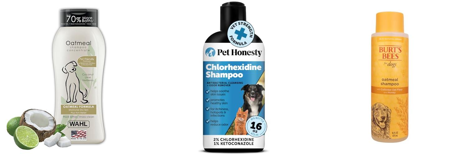Top 5 Shampoos For Dogs With Dry Skin: Soothe & Heal Now! - AnimalsPick