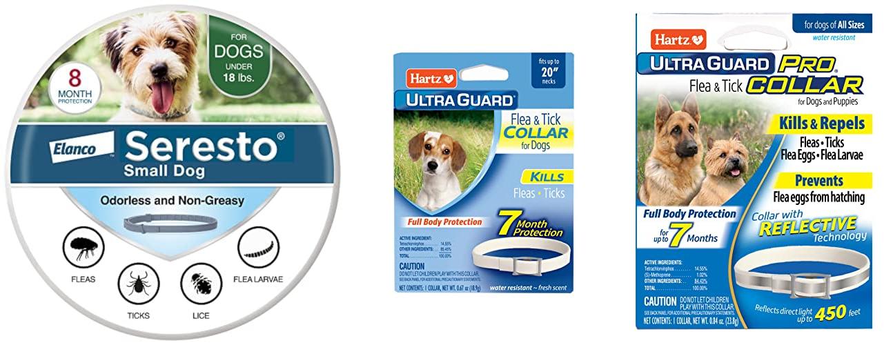 Top 5 Small Dog Flea Collars: Reviews & Buying Guide for Pups - AnimalsPick