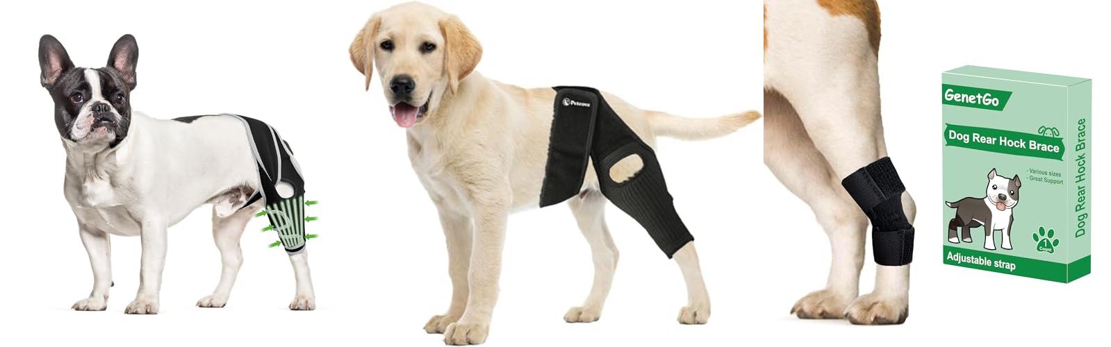 Top 5 Small Dog Knee Braces for Luxating Patella: Reviews & Guide ...