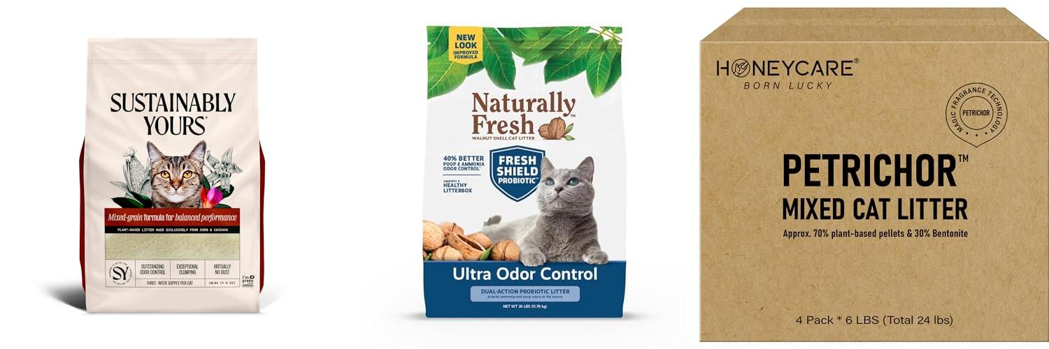 Top 5 Sustainable Cat Litters: Reviews & Eco-Friendly Guide - AnimalsPick