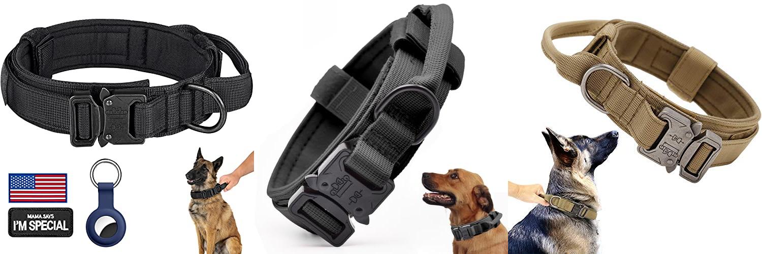 Top 5 Tactical Dog Collars: Reviews & Buyer's Guide for Your Pup ...