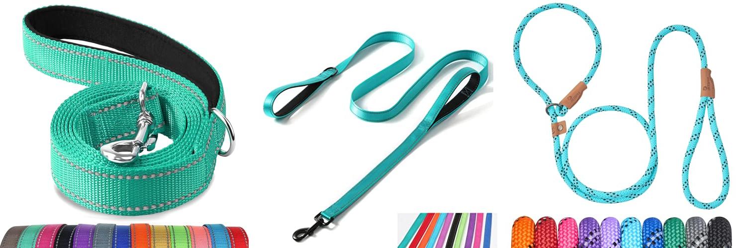 Top 5 Teal Dog Leads: Reviews & Guide for Safe Walks! - AnimalsPick