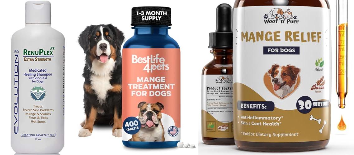Top 5 Dog Mange Treatments: A Comprehensive Review & Guide - AnimalsPick