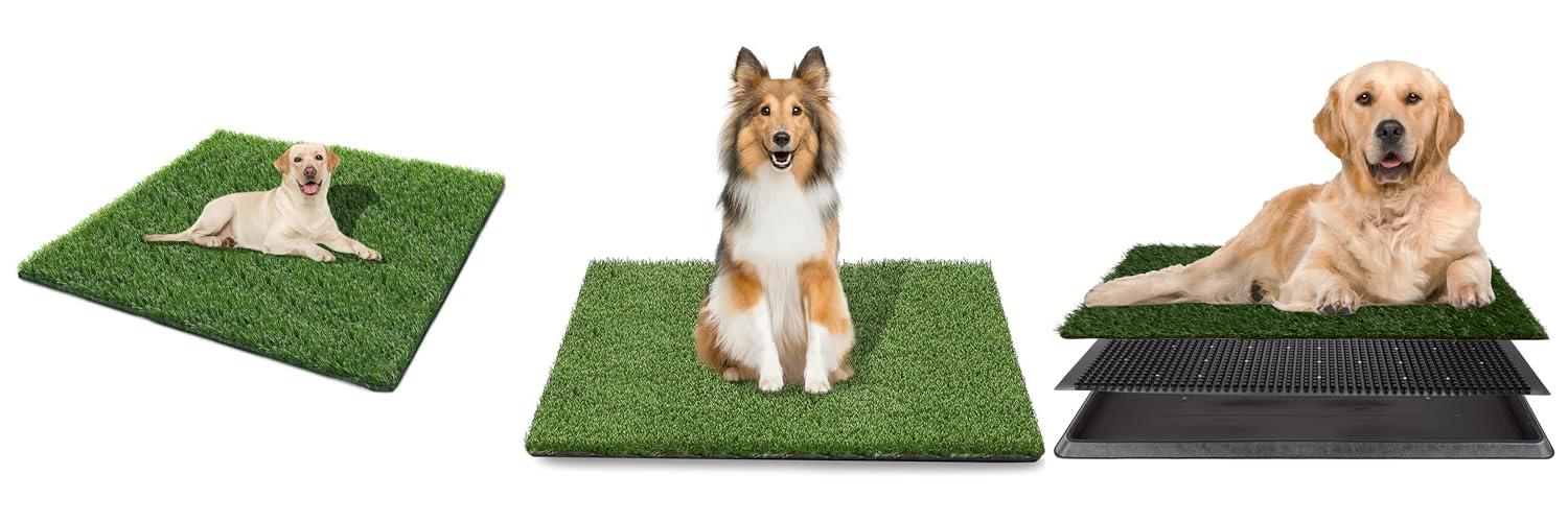 Top 5 Turf For Dog Pee: Reviews & Buying Guide for Your Pup - AnimalsPick