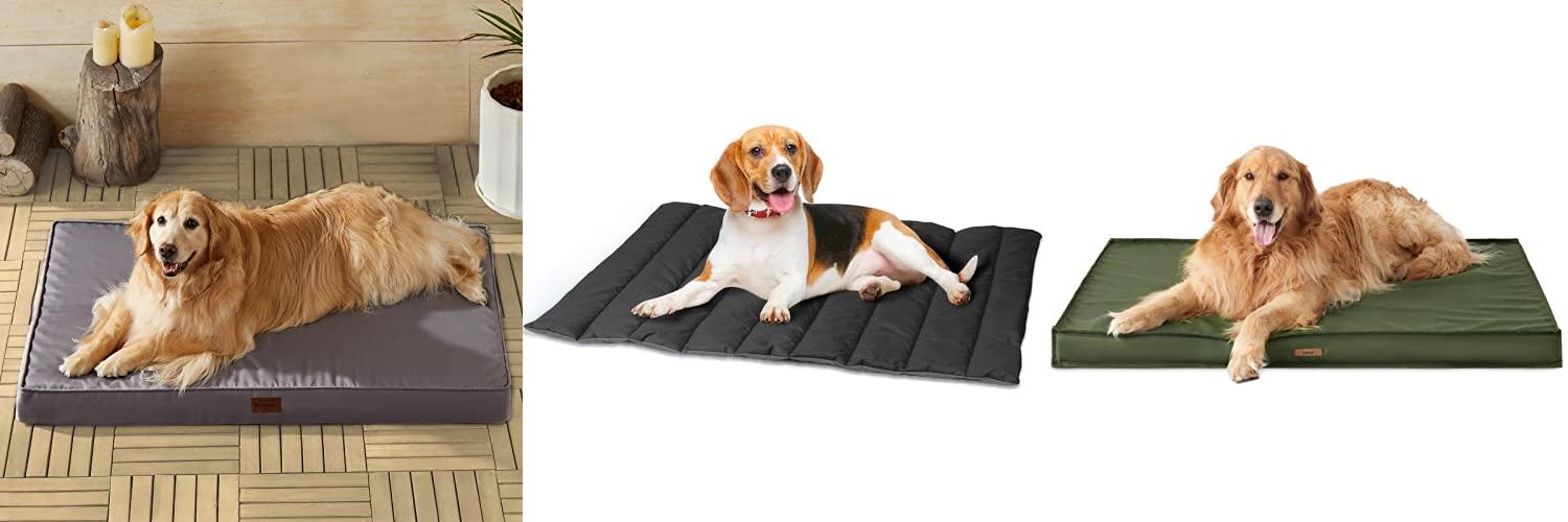 Top 5 Waterproof Outdoor Dog Beds: Reviews & Buying Guide - AnimalsPick