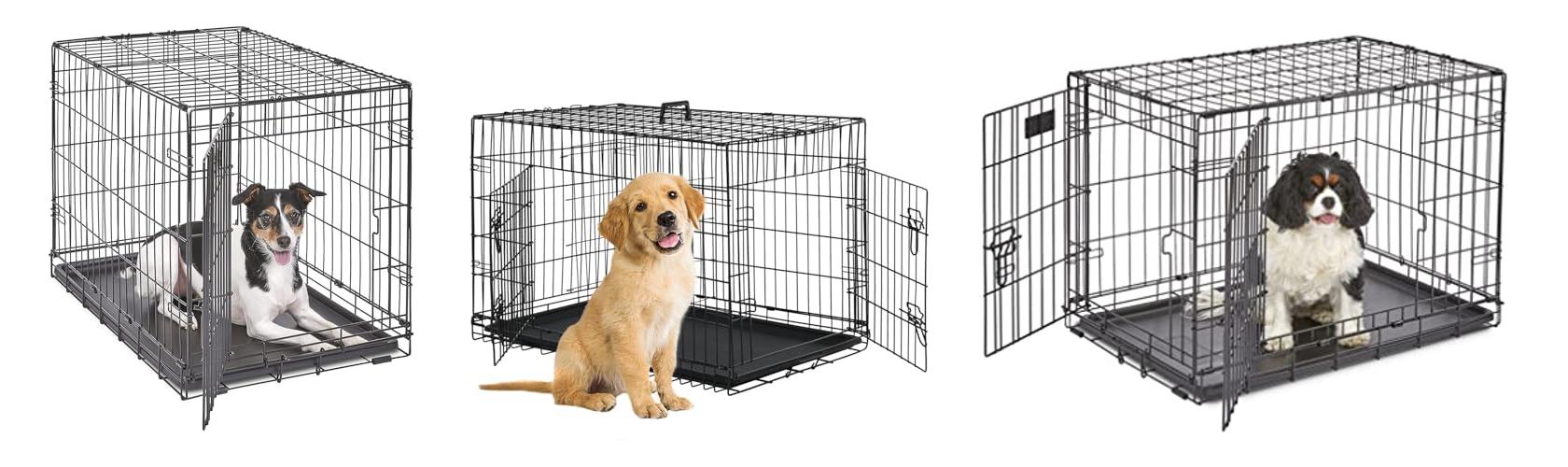 Top 5 Wire Dog Kennels: Reviews & Expert Buying Guide - AnimalsPick