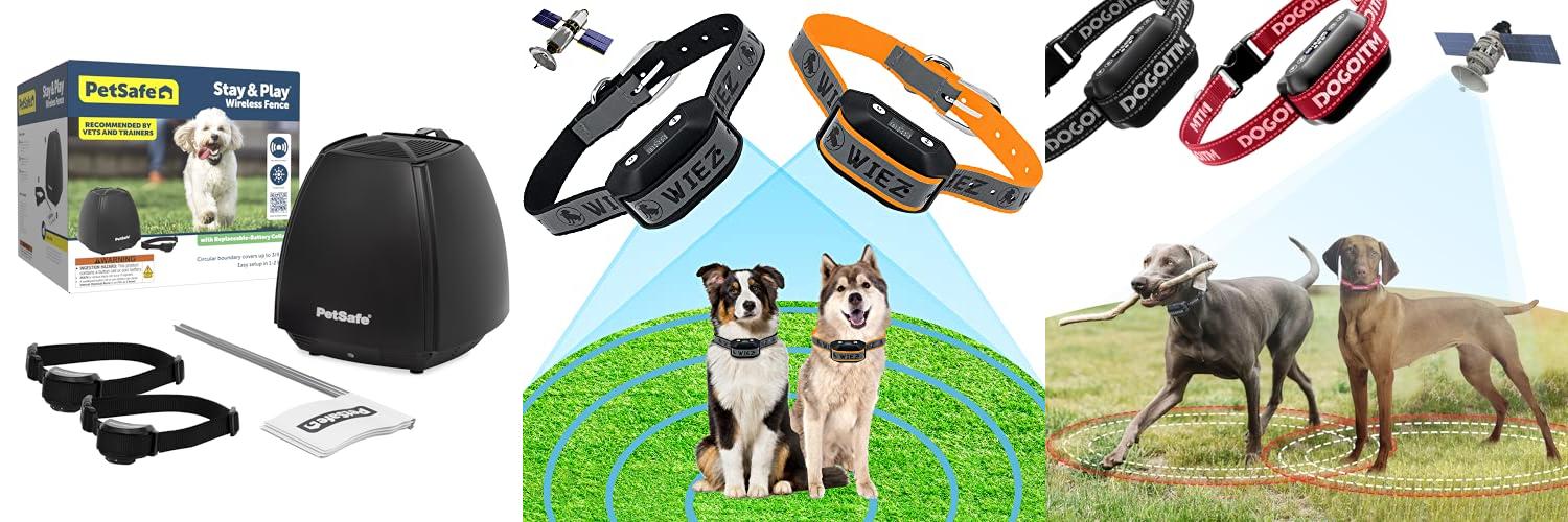 5 Best Wireless Dog Fences for Extensive Acreage: Detailed Review ...