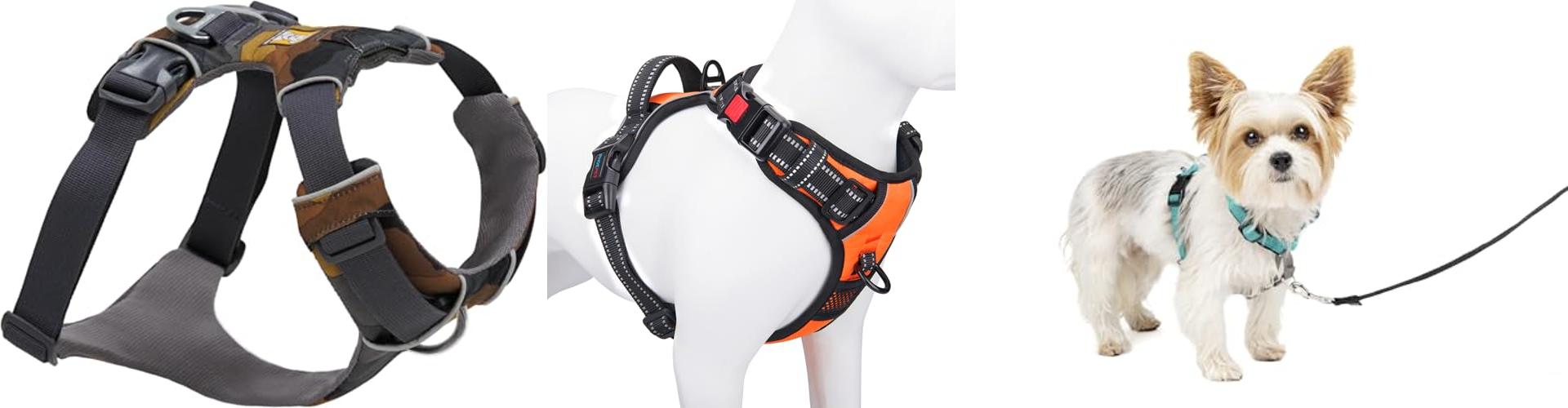 Top 5 Y Shaped Dog Harnesses: Reviews & Buyer's Guide - AnimalsPick