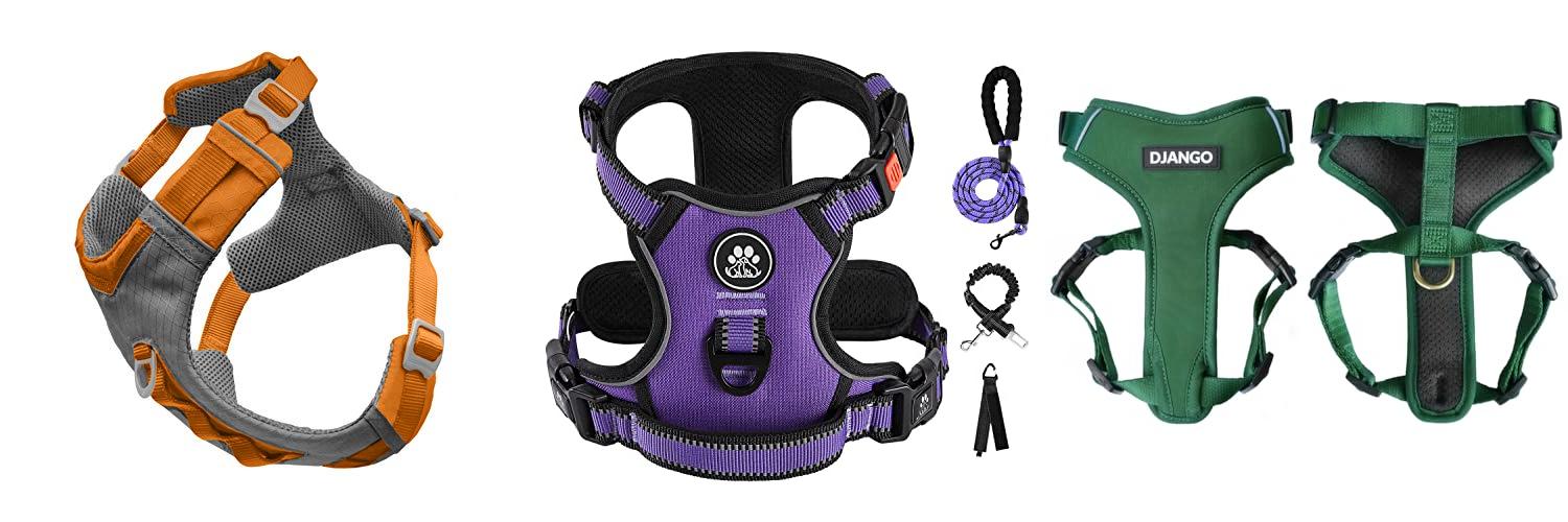 Top 5 Adventure Dog Harnesses: Get Yours Now! - AnimalsPick