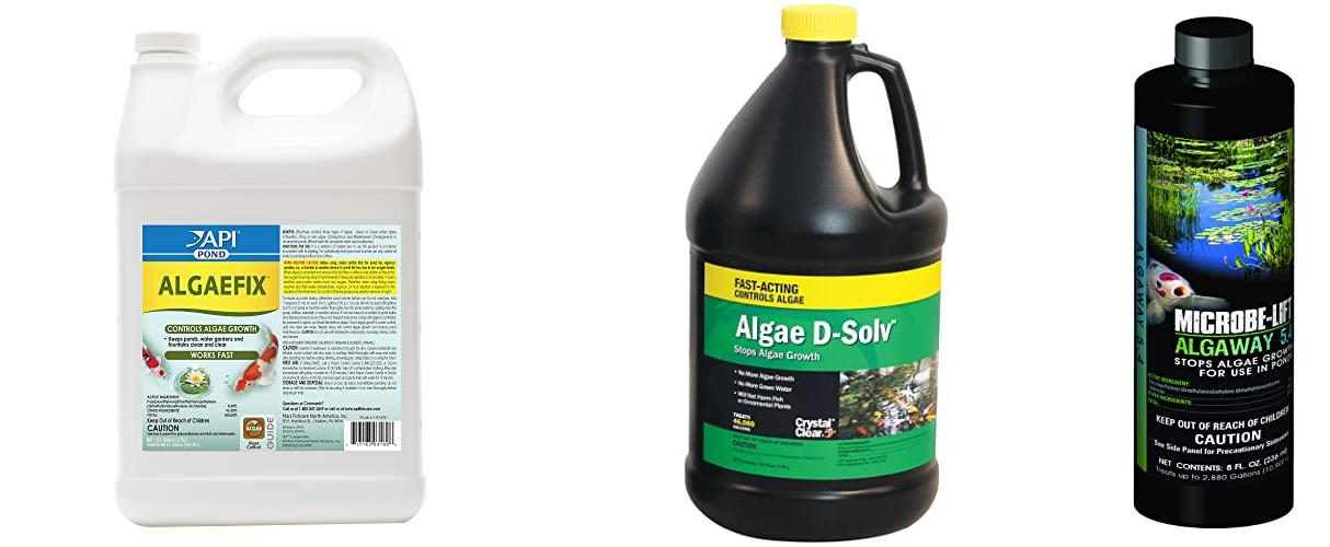 Top 5 Algaecides for Fish Ponds: Buyer's Guide - AnimalsPick