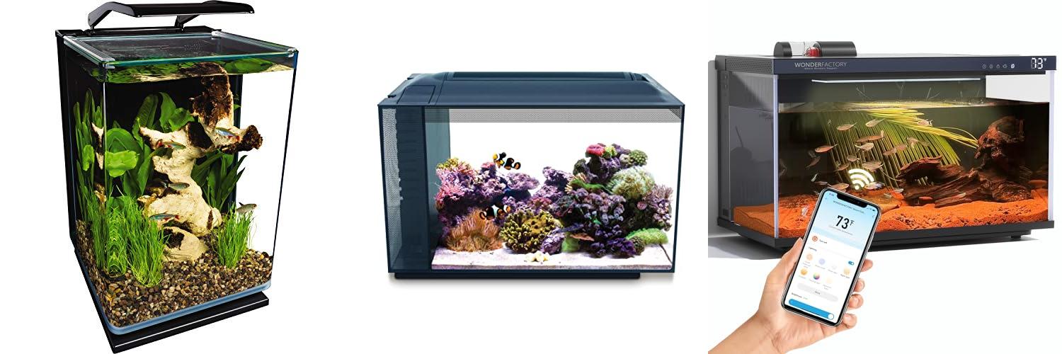 Top 5 All-in-One Fish Tanks: Your Buying Guide - AnimalsPick