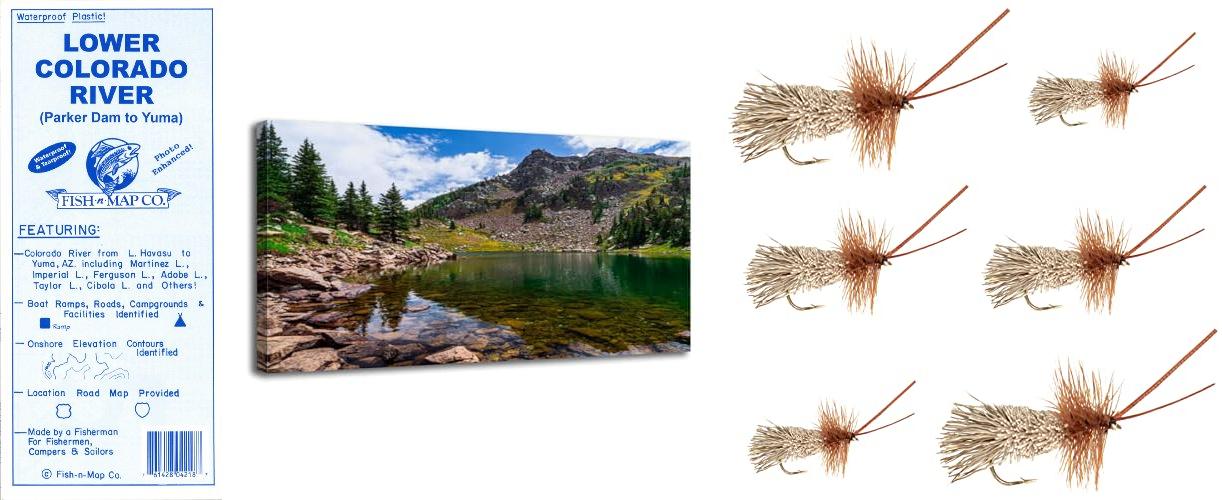 Top 5 Alpine Lakes for Colorado Fishing: Your Guide - AnimalsPick