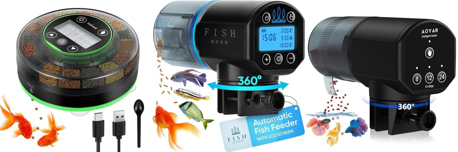 Top 5 Automatic Fish Feeders: Your Best Choice - AnimalsPick
