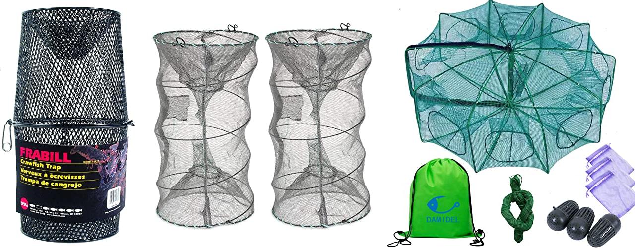 Best Bait Fish Trap - Top 5 Picks & Review - AnimalsPick