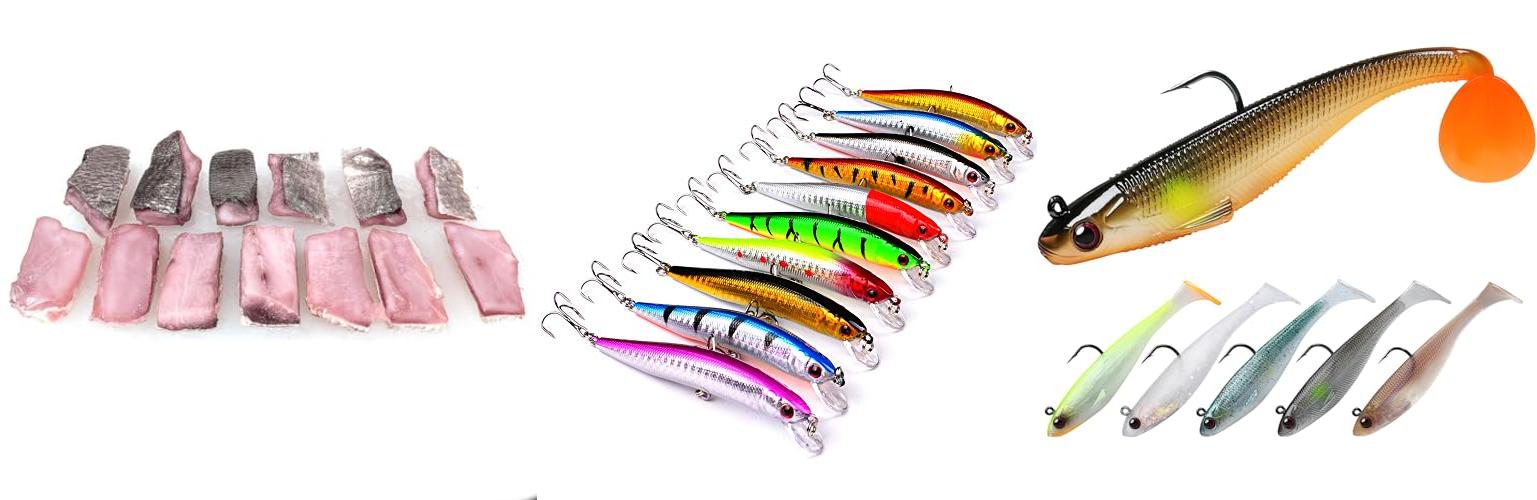 Best Bait For River Fish - Top 5 Picks & Review - AnimalsPick