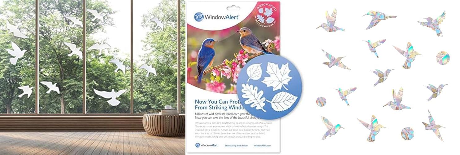 Top 5 Bird Window Stickers: Prevent Collisions Now - AnimalsPick