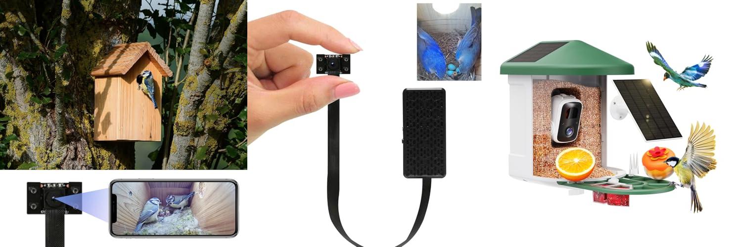 Best Bird Box Camera - Top 5 Picks & Review - AnimalsPick
