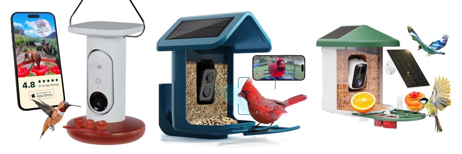 The Ultimate Bird Buddy Buying Guide: 5 Picks - AnimalsPick