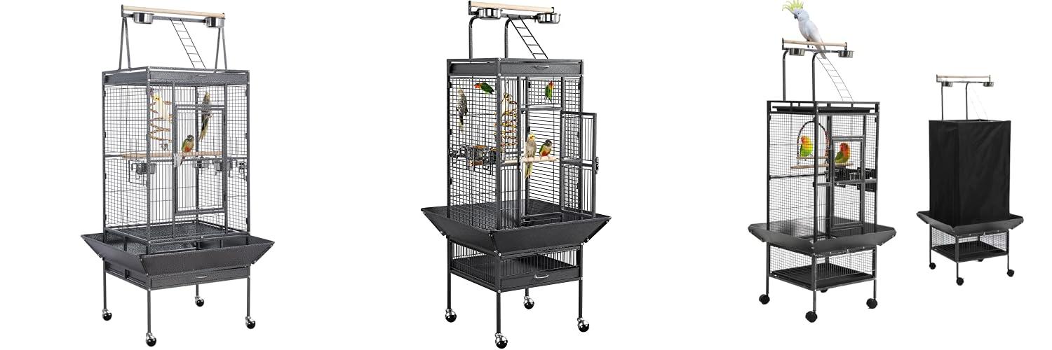 Top 5 Quaker Parrot Cages: Your Essential Buying Guide - AnimalsPick