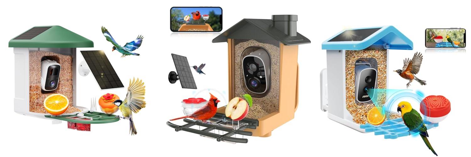 Top 5 Bird Cameras: Your Ultimate Buying Guide - AnimalsPick