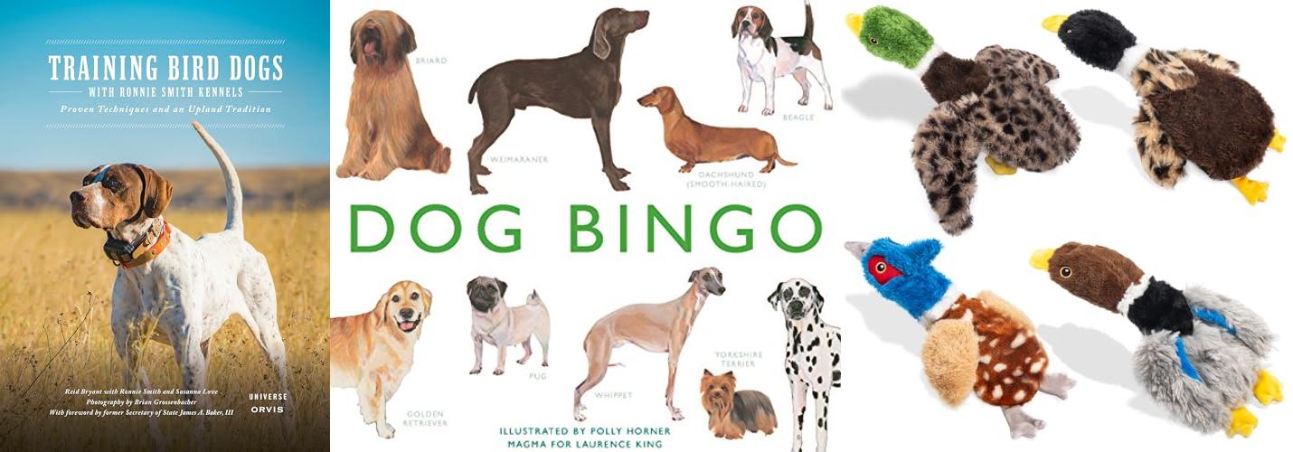 Guide to Top 5 Bird Dog Breeds: Essential Info - AnimalsPick