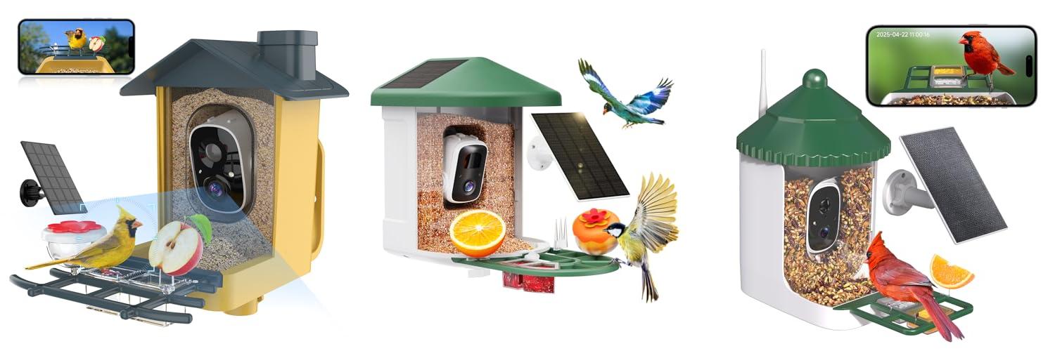 Top 5 Bird Feeder Cams: Your Ultimate Buying Guide - AnimalsPick