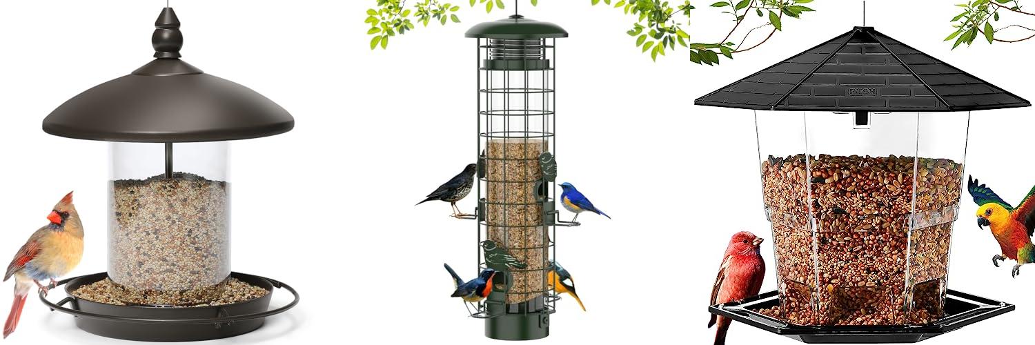 Best Bird Feeder - Top 5 Picks & Review - AnimalsPick