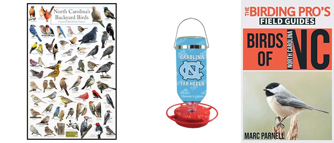 Top 5 NC Bird Feeders: Your Essential Buying Guide - AnimalsPick