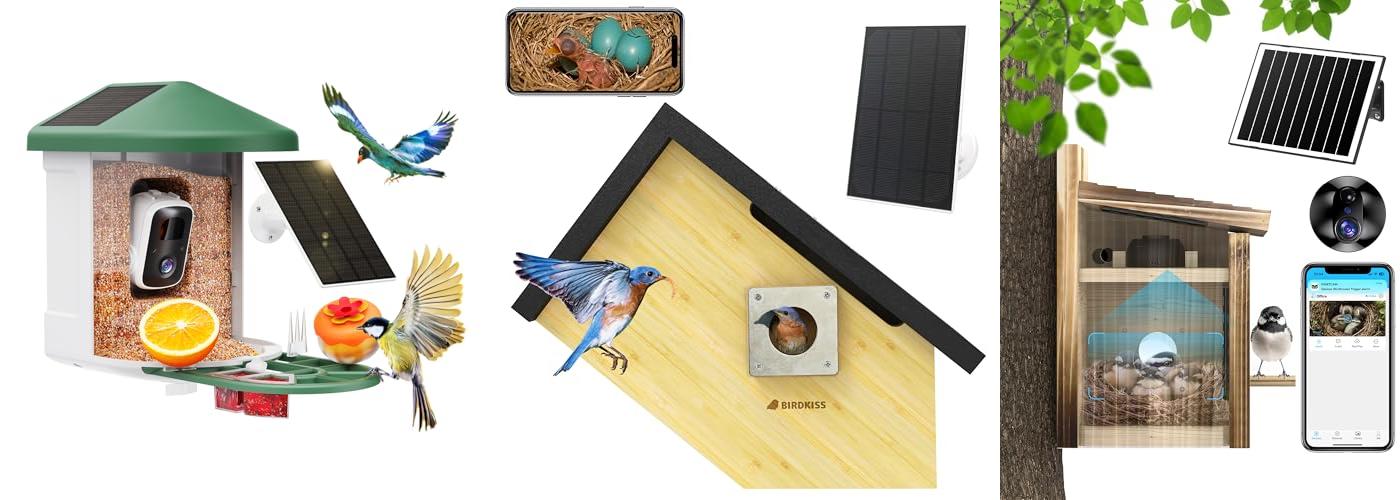 Top 5 Bird Houses With Camera: Your Buying Guide - AnimalsPick