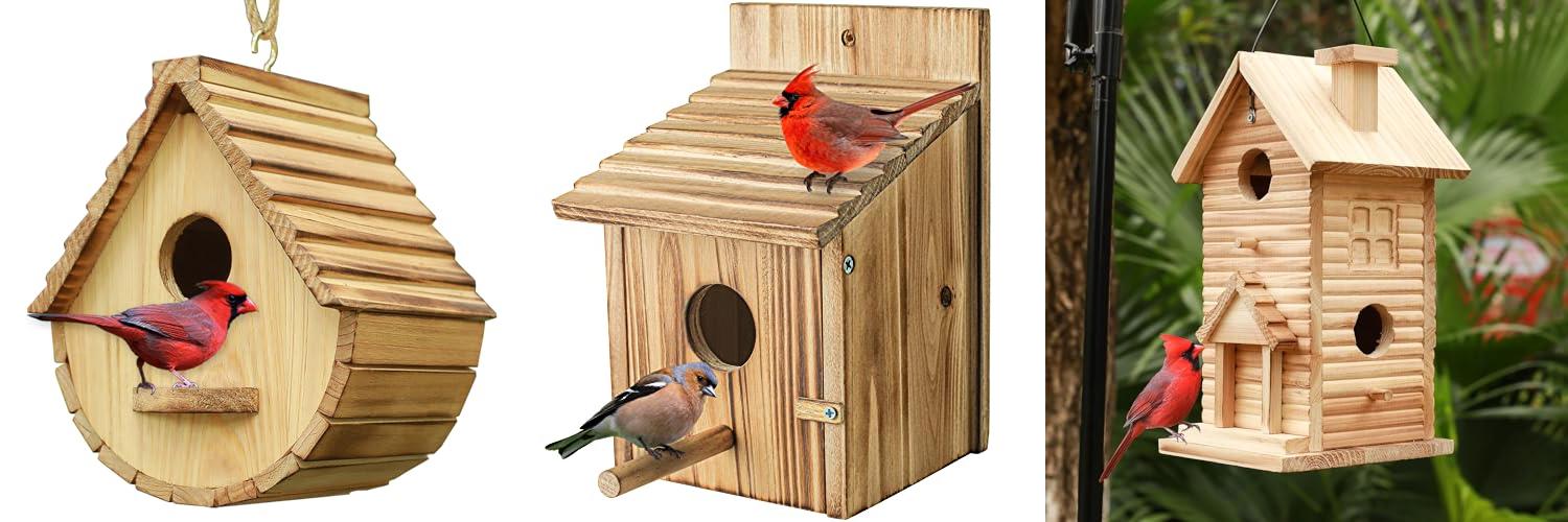 Top 5 Cardinal Bird Houses: Your Buying Guide - AnimalsPick
