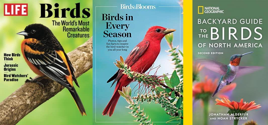Best Bird Magazines - Top 5 Picks & Review - AnimalsPick