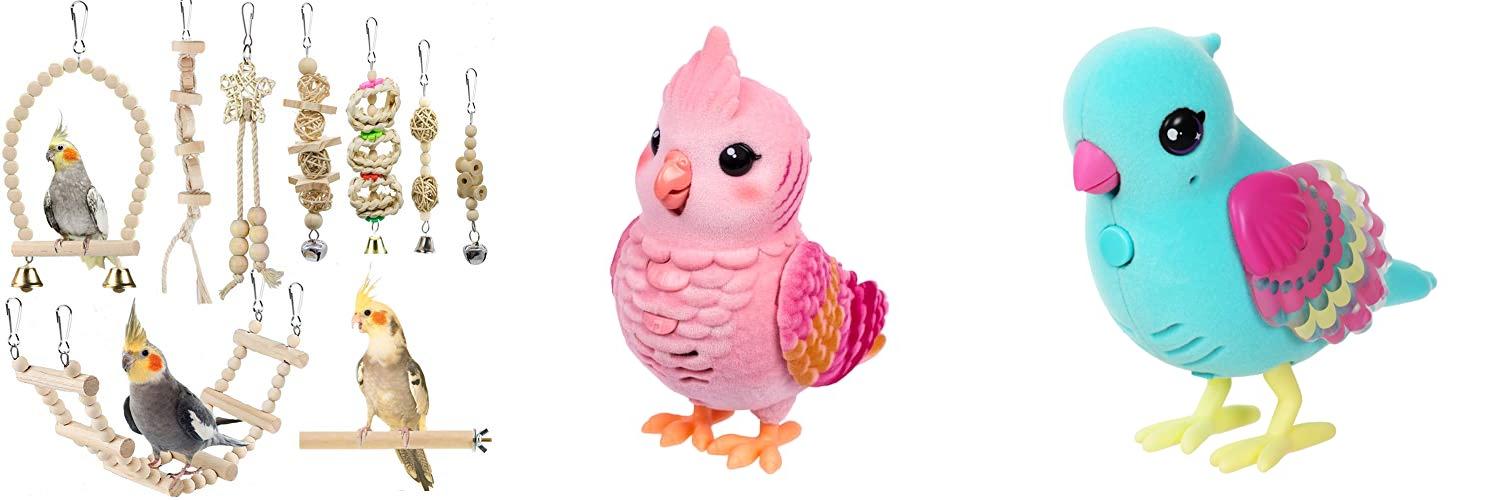 Best Bird Pets - Top 5 Picks & Review - AnimalsPick