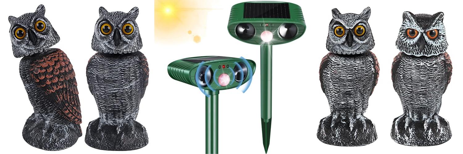 Best Bird Repellent - Top 5 Picks & Review - AnimalsPick