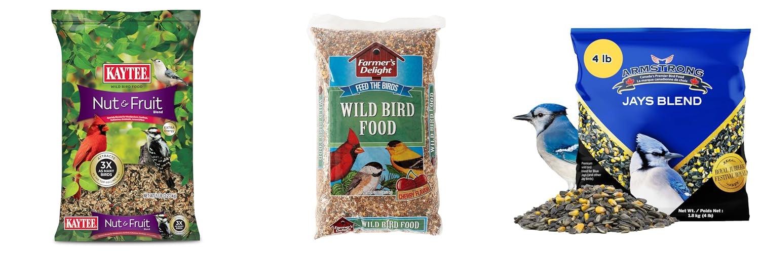 Top 5 Blue Jay Seed Picks: Your Feeding Guide - AnimalsPick