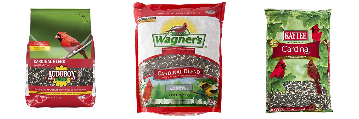 Top 5 Cardinal Seed Mixes: Attract More Birds - AnimalsPick