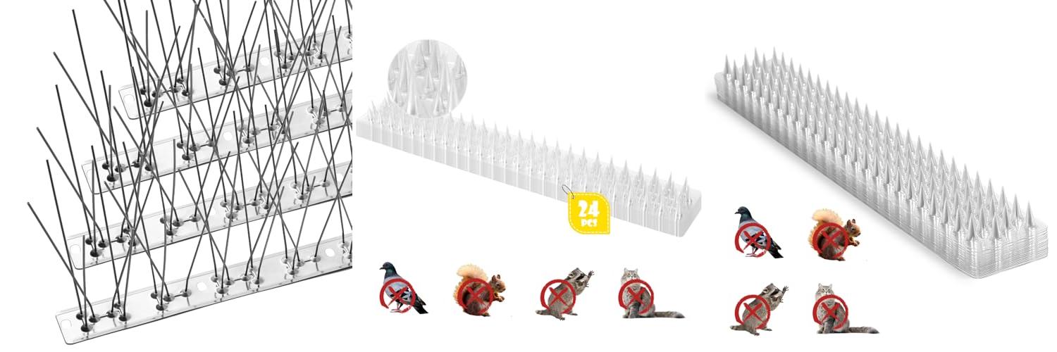 Top 5 Bird Spikes for Small Birds: Buyer's Guide - AnimalsPick