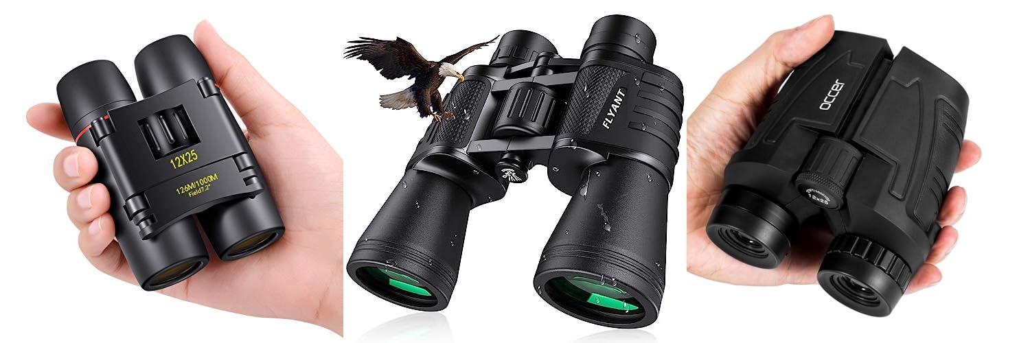 Top 5 Bird Spotting Binoculars: Your Buying Guide - AnimalsPick