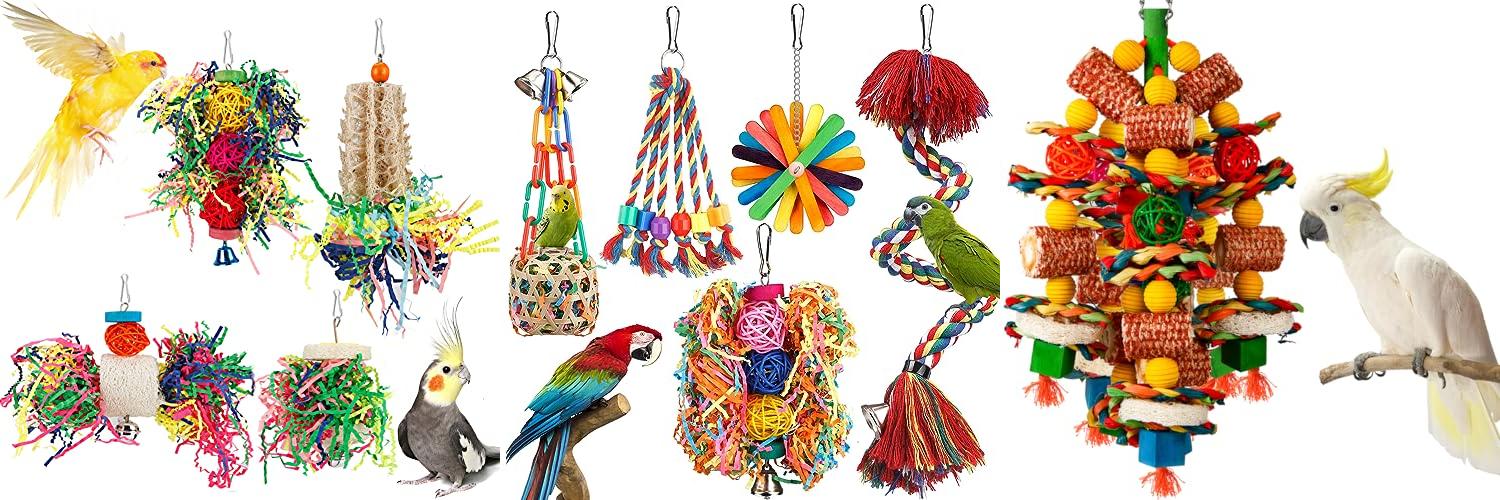 Best Bird Toys - Top 5 Picks & Review - AnimalsPick