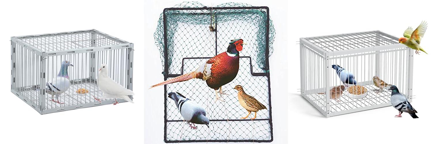 Best Bird Trap - Top 5 Picks & Review - AnimalsPick