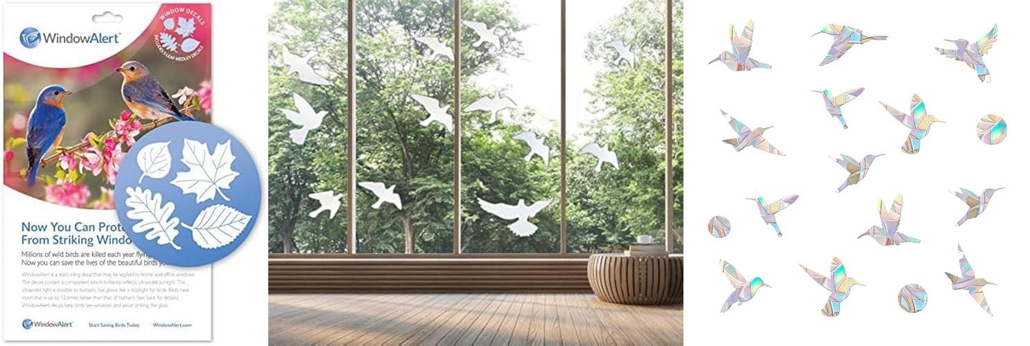 Top 5 Bird Window Strike Prevention Products Reviewed - AnimalsPick