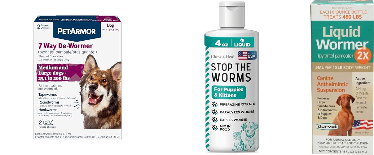 Best Broad Spectrum Dog Wormer: Our Top Picks - AnimalsPick